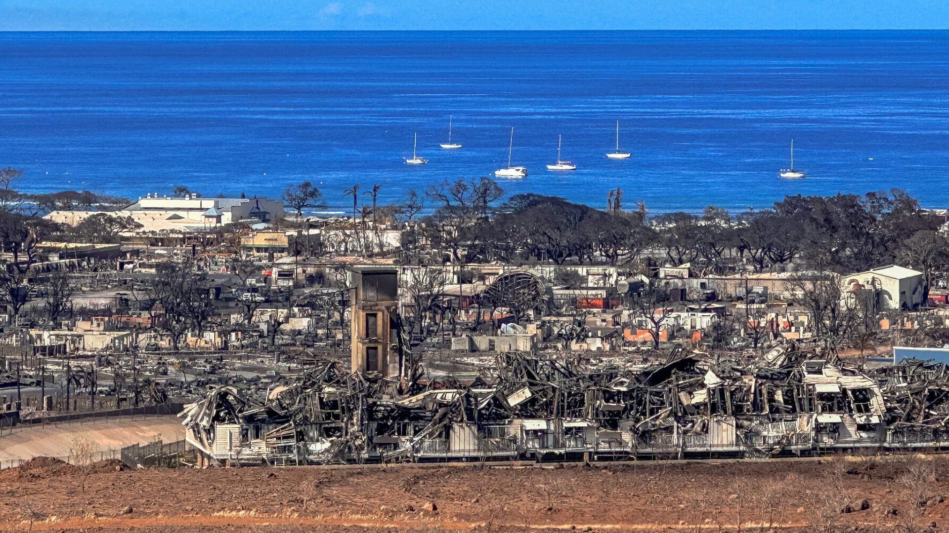 Covenanters Respond to Maui Wildfires - The Evangelical Covenant Church